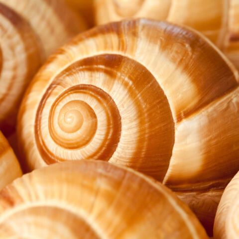 The Helix Project | Youth Without Shelter